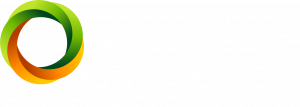 Sistema de Gestão dos Consumos Intensivos de Energia - SGCIE